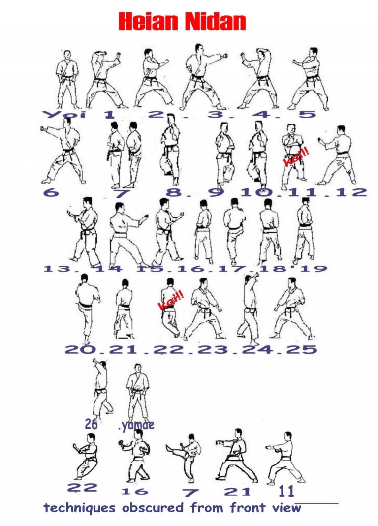 Grading Purple Belt – Free Style Karate Ireland