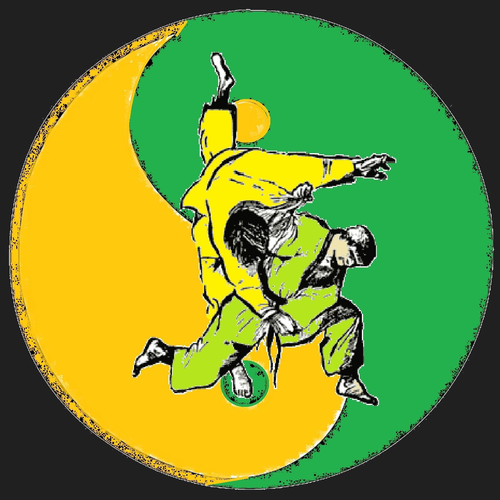 Grading Brown Belt 1st Kyu – Free Style Karate Ireland